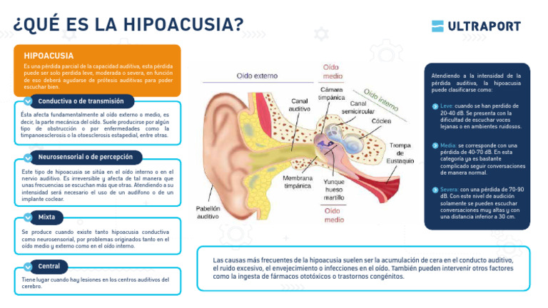 Protocolo PREXOR, OIDO | PDF | Escuchando | Oído