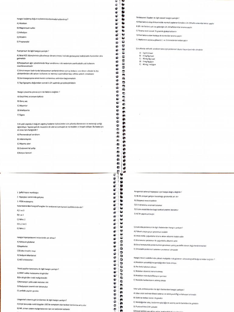 2023 k4 Cevaplı | PDF