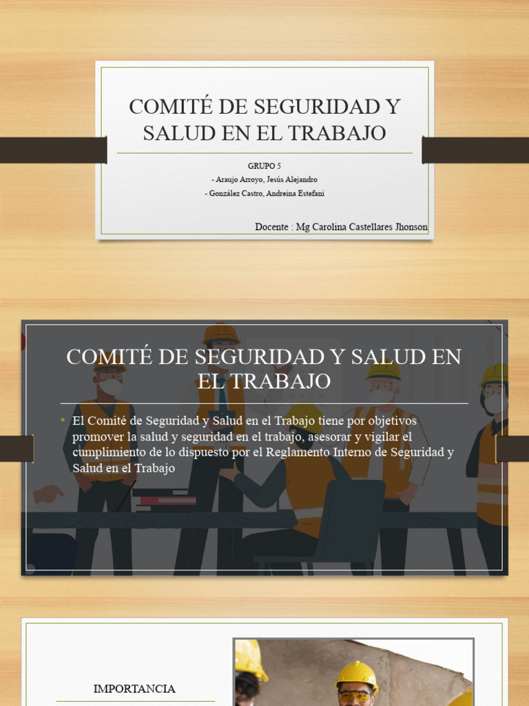 Comité de Seguridad y Salud en El Trabajo | Descargar gratis PDF ...
