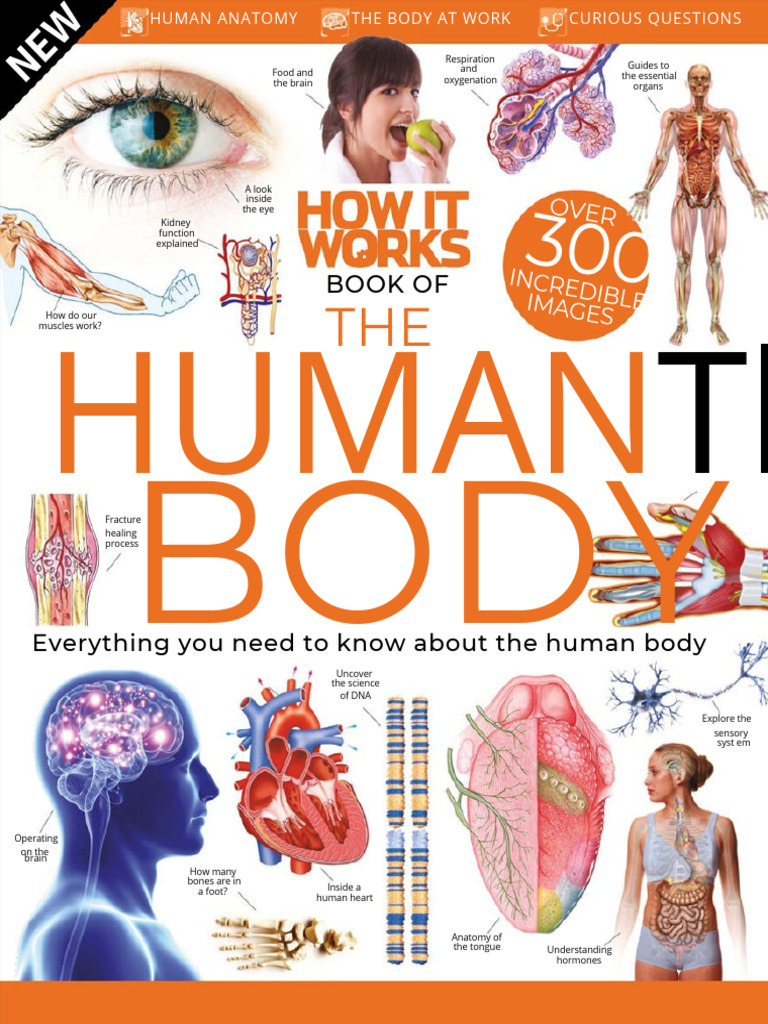 How It Works Book of the Human Body | Download Free PDF | Human Body ...