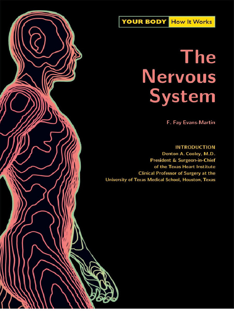 Your Body. How It Works. the Nervous System 111 | Download Free PDF ...