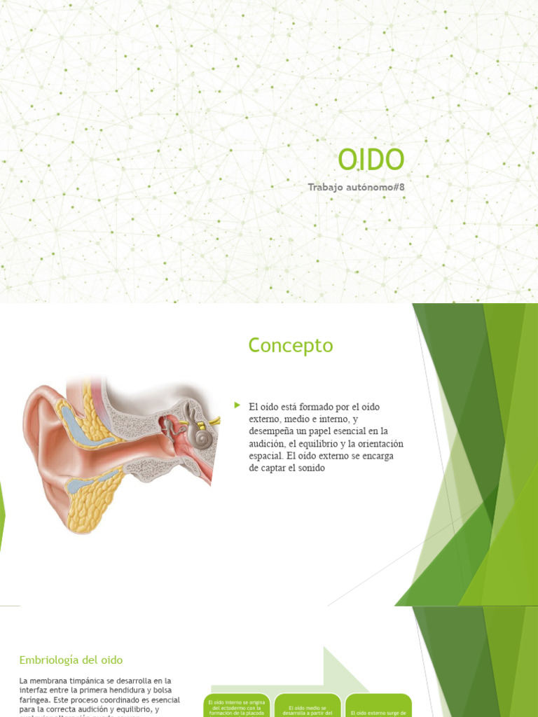 24A TRABAJOTICS1 08 Valenzuela | PDF | Oído | Escuchando