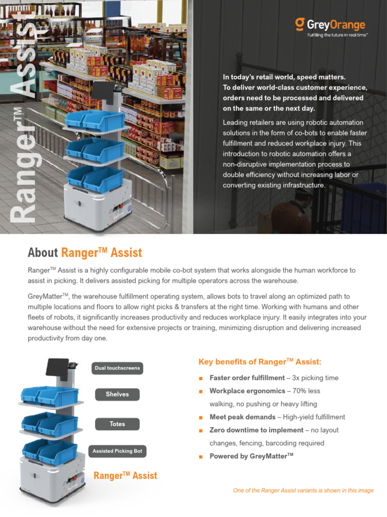 Robot Brochure Pdf Inventory Automation