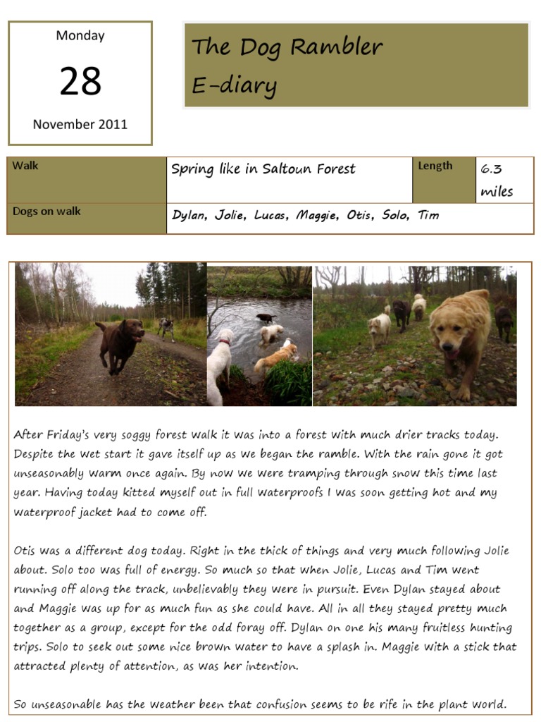 The Dog Rambler E-Diary 28 November 2011 | PDF | Hobbies | Horticulture ...