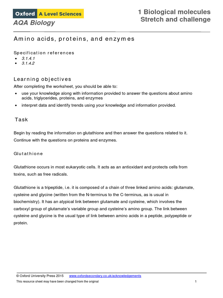 amino acids | PDF | Amino Acid | Proteins