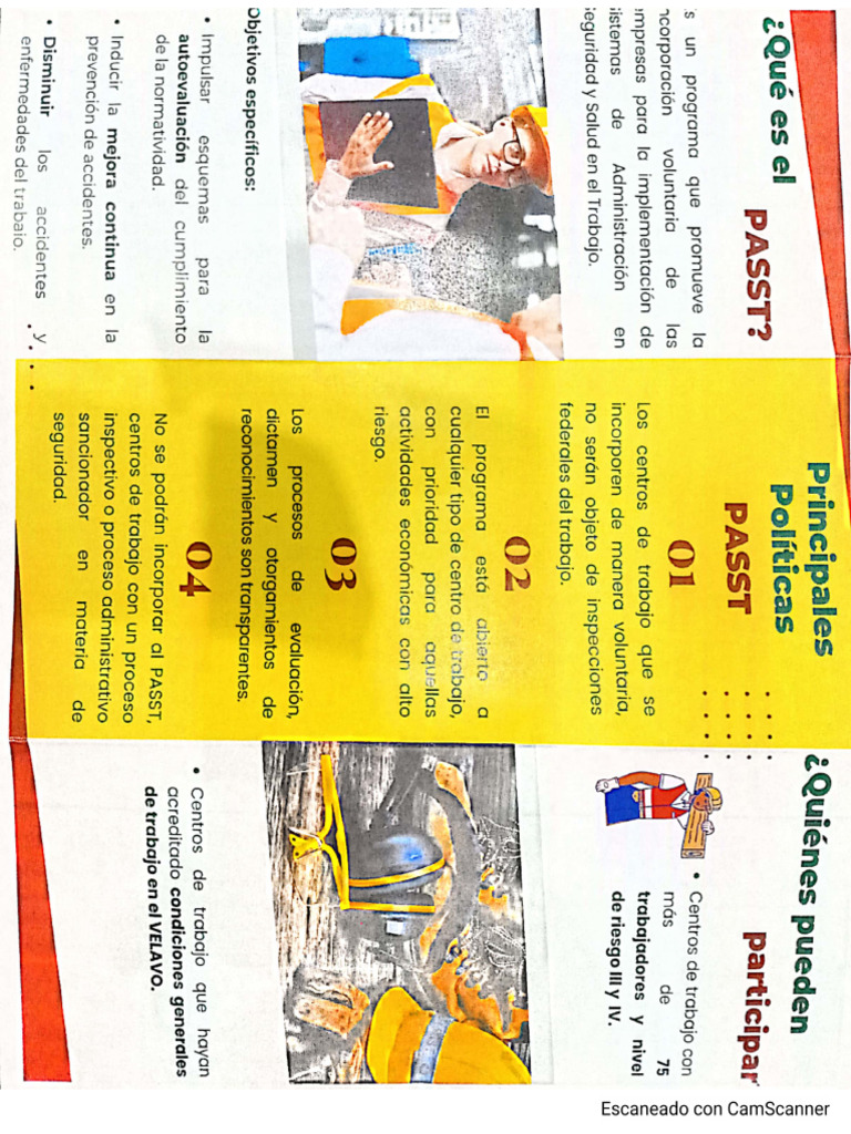 PAST: Programa de Autogestión en Seguridad y salud en el Trabajo | PDF