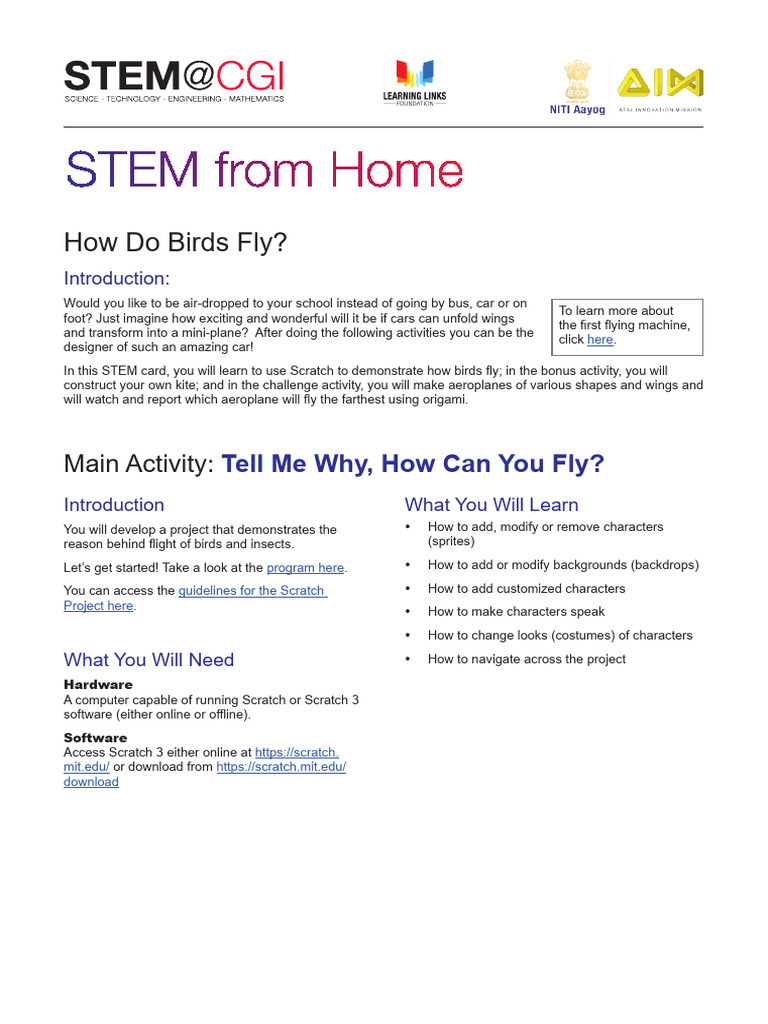 How-Do-Birds-Fly | Download Free PDF | Kite | Scratch (Programming ...