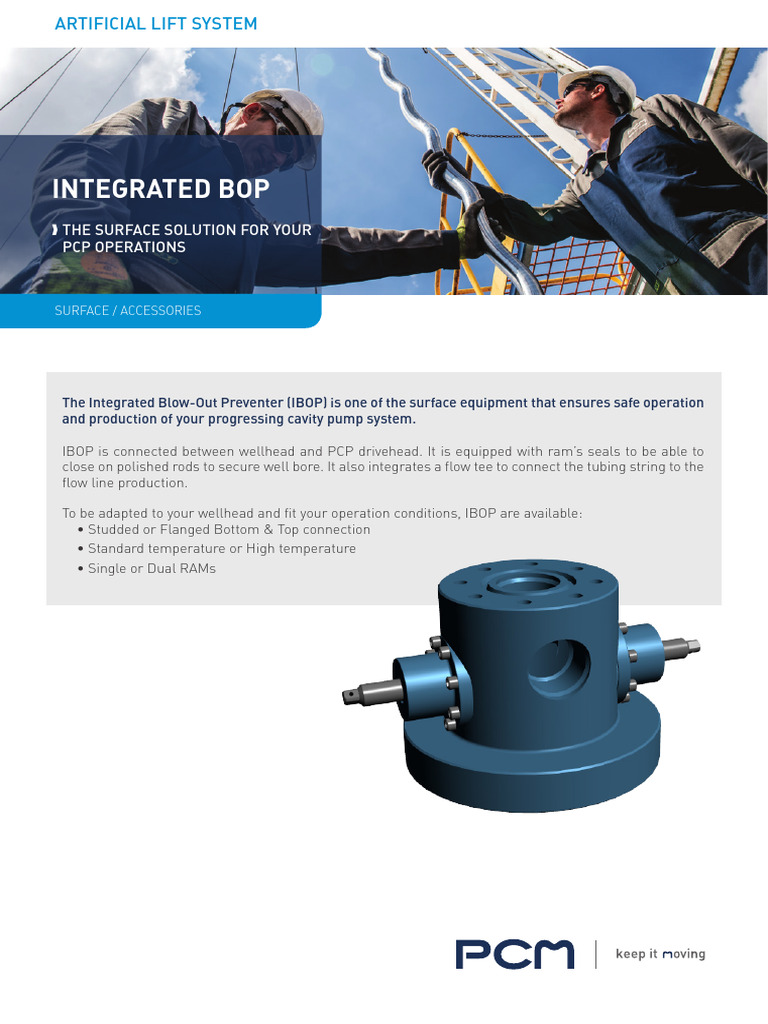 BOP Integral para BCP 2 | PDF | Business | Technology & Engineering