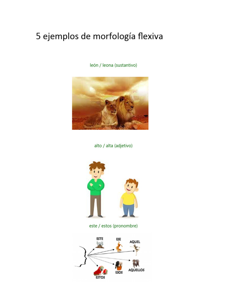 5 Ejemplos de Morfología Flexiva | PDF