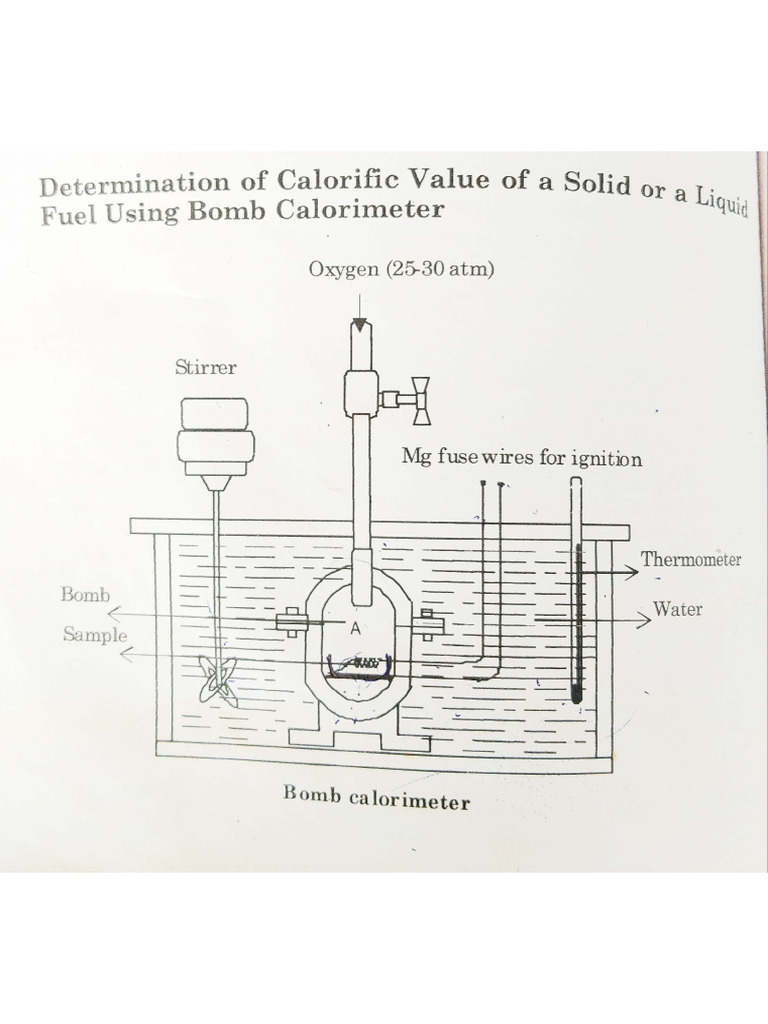 Bomb Calorimeter | PDF