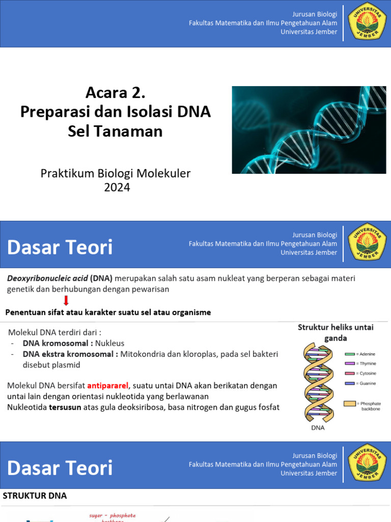 Preparasi Dan Isolasi DNA Sel Tanaman (Praktikan) | PDF Preparasi Dan Isolasi DNA Sel Tanaman (Praktikan) | PDF