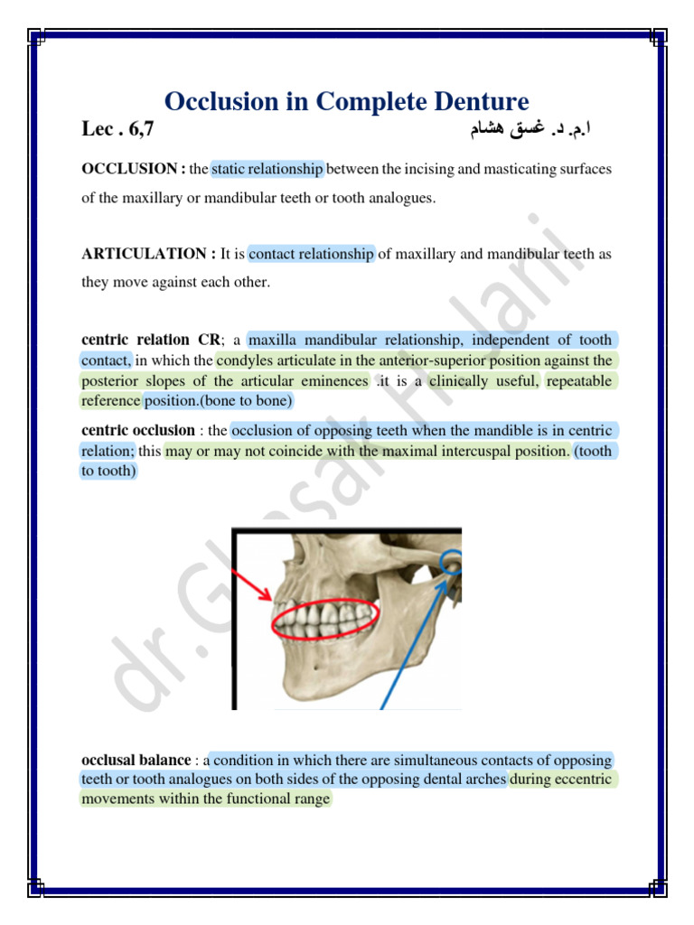 LEC Occlusion | Download Free PDF | Dentures | Mouth