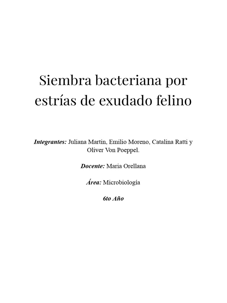 Exudado Felino | PDF | Las bacterias | Siembra