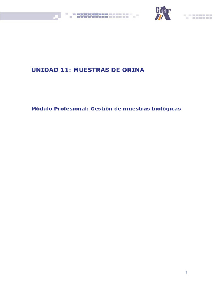 Ud11 GMB | PDF | Riñón | Orina