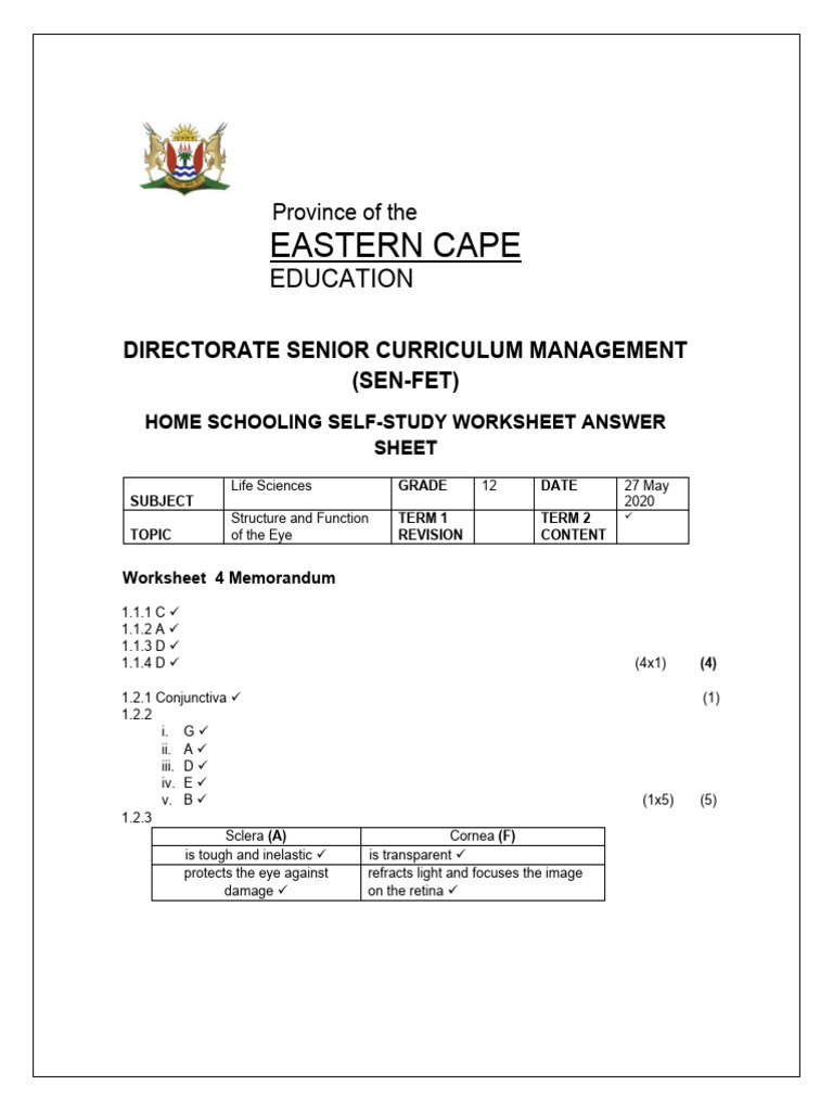 c2 Life SC GR 12 Worksheet 4 Structure and Function of The Eye Answer ...