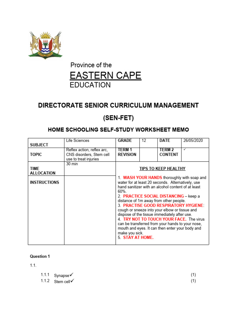Reflex Action Worksheet for Grade 12 | PDF | Central Nervous System ...