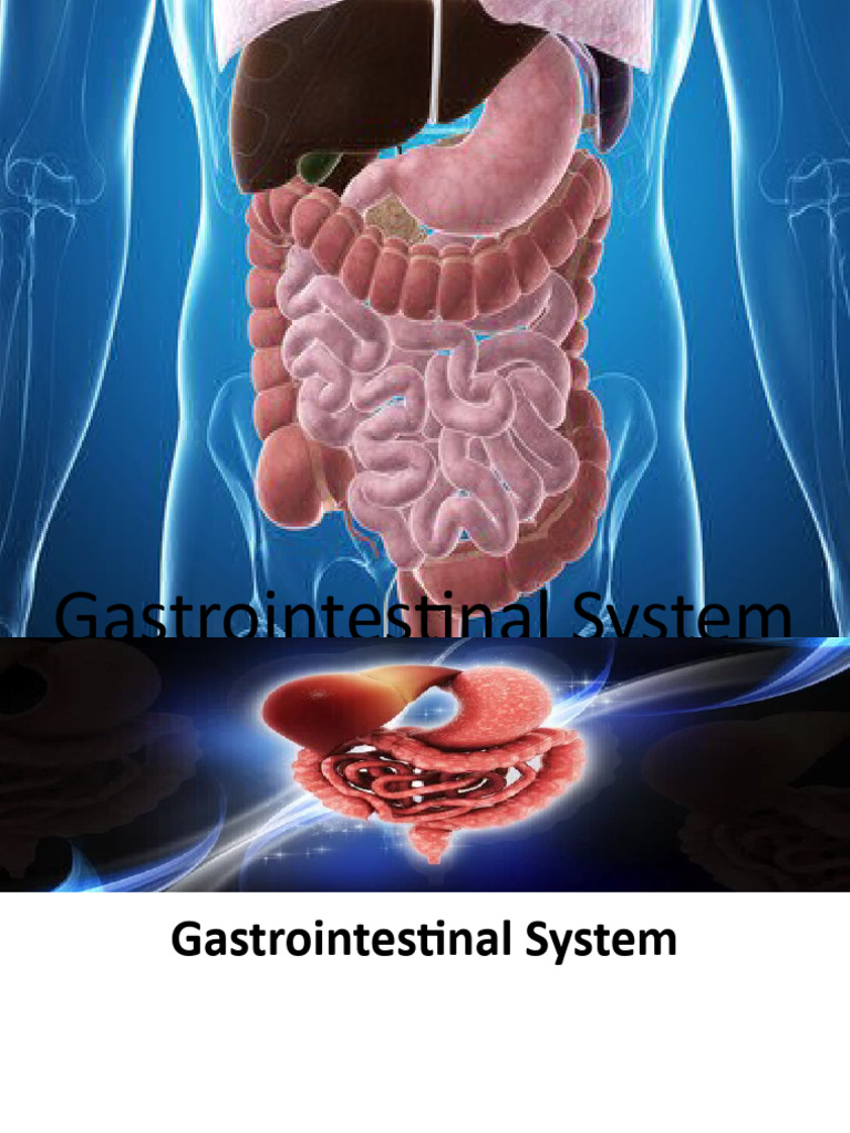 Gastrointestinal System | PDF | Esophagus | Physical Examination