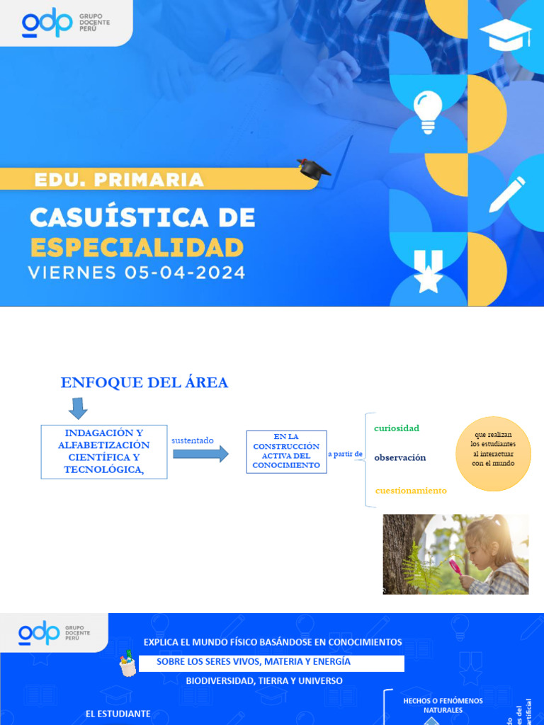 05 - 04 l CASUISTICAS GRUPO DOCENTE PERÚ l EDUCACIÓN PRIMARIA | PDF ...