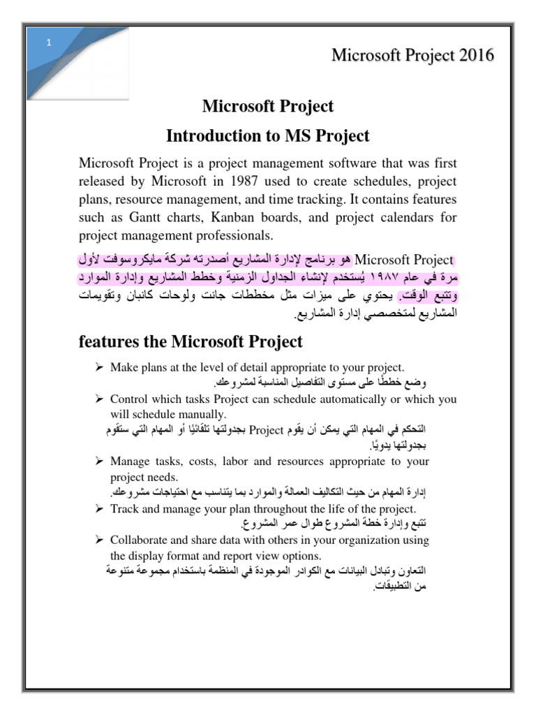 Ms Project 1 | PDF