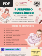 Puerperio Fisiologico, Inmediato, Mediato y Tardio | PDF | Periodo ...