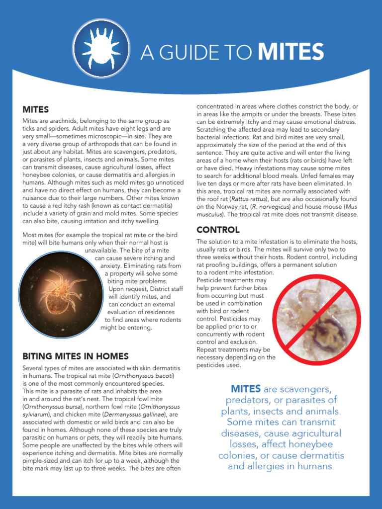 Guide-Mites 8.5x11 | PDF | Rat | Pest Control