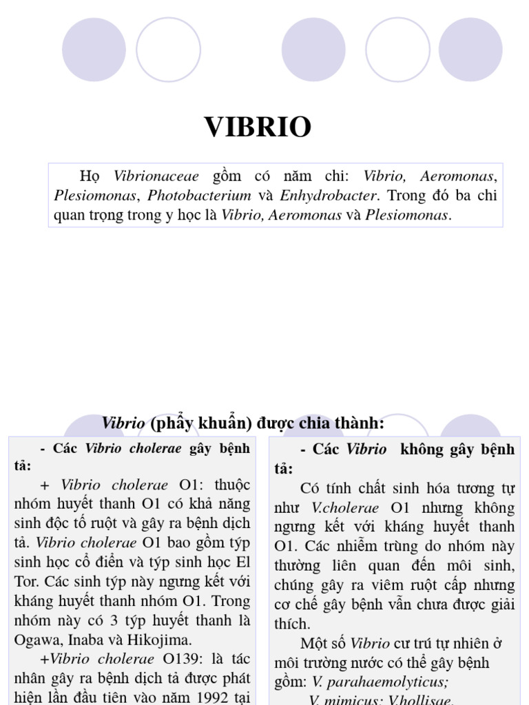 VIBRIO | PDF