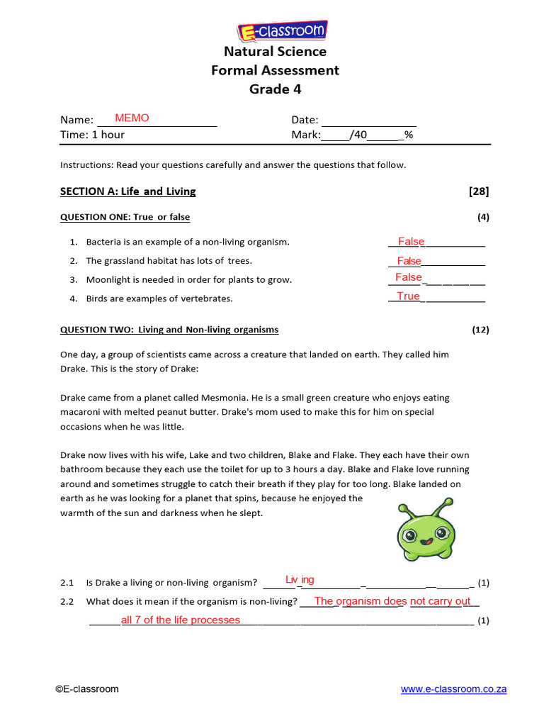 Gr04 NST Term2 Pack01 Practice Paper Memo | PDF | Plants | Foods