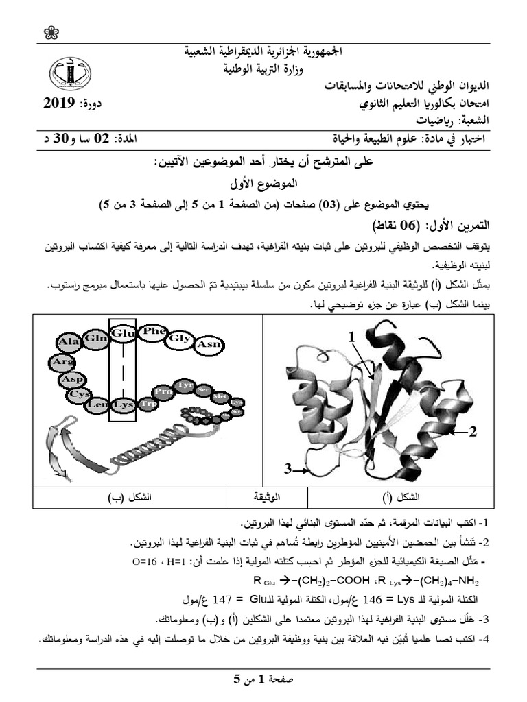 Dzexams Bac Sciences 2280992 | PDF