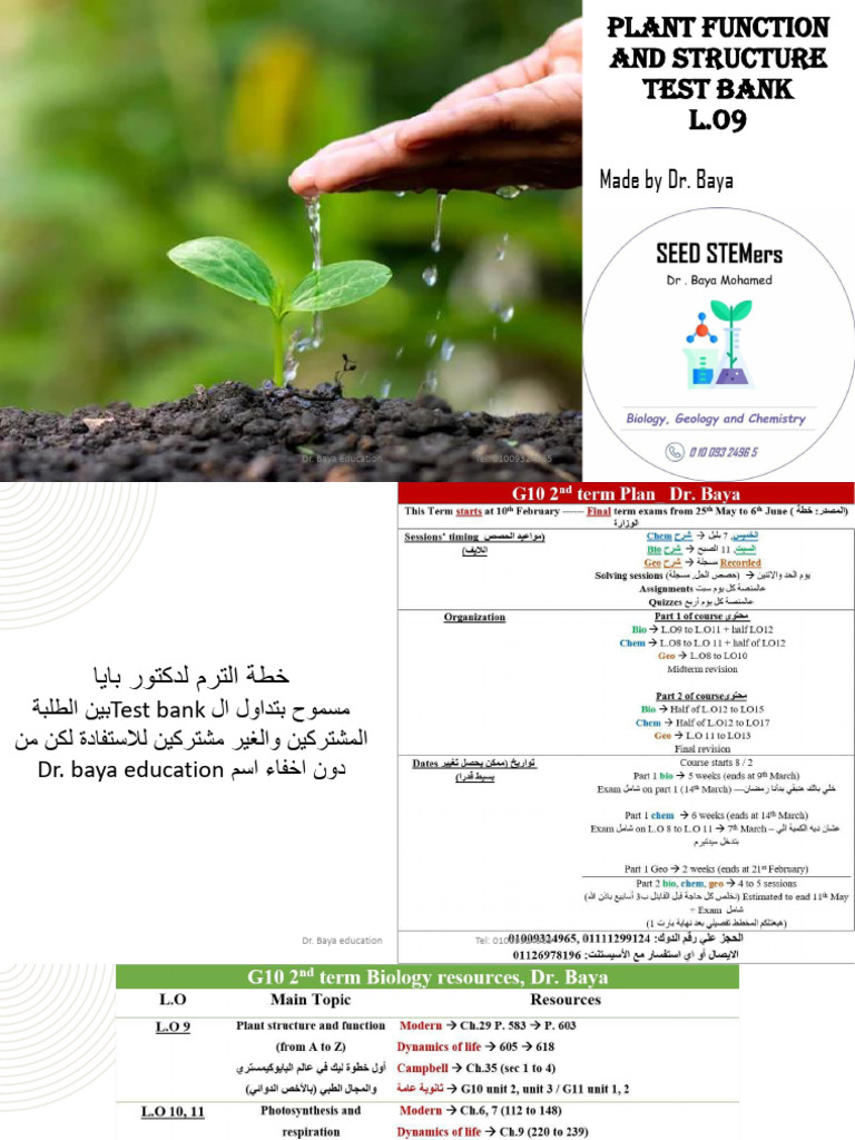 Plant Structure and Function Test Bank | PDF | Plant Stem | Tissue ...