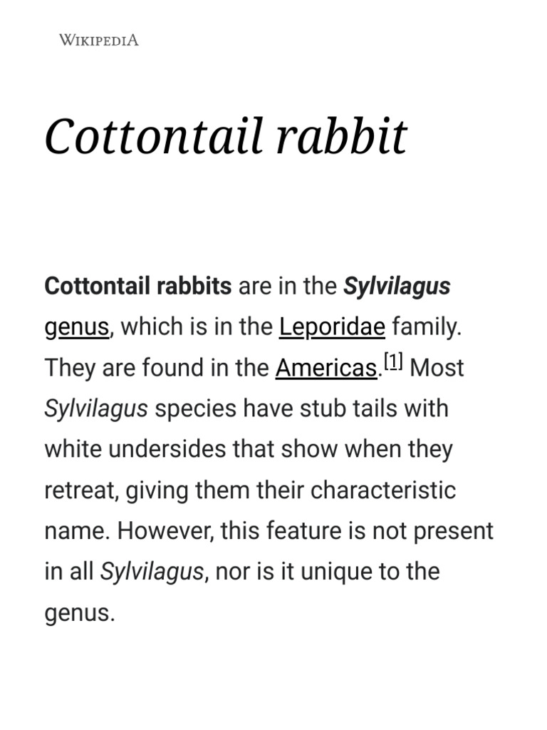 Cottontail Rabbit - Wikipedia | PDF | Zoology | Lagomorphs