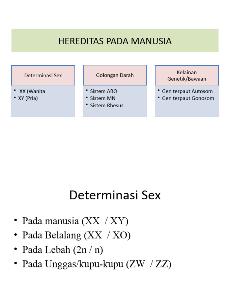 Hereditas Pada Manusia | PDF