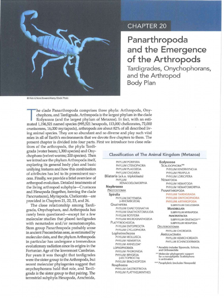 11zon - Brusca 2023. Capitulo Artropodos Parte 1 | PDF