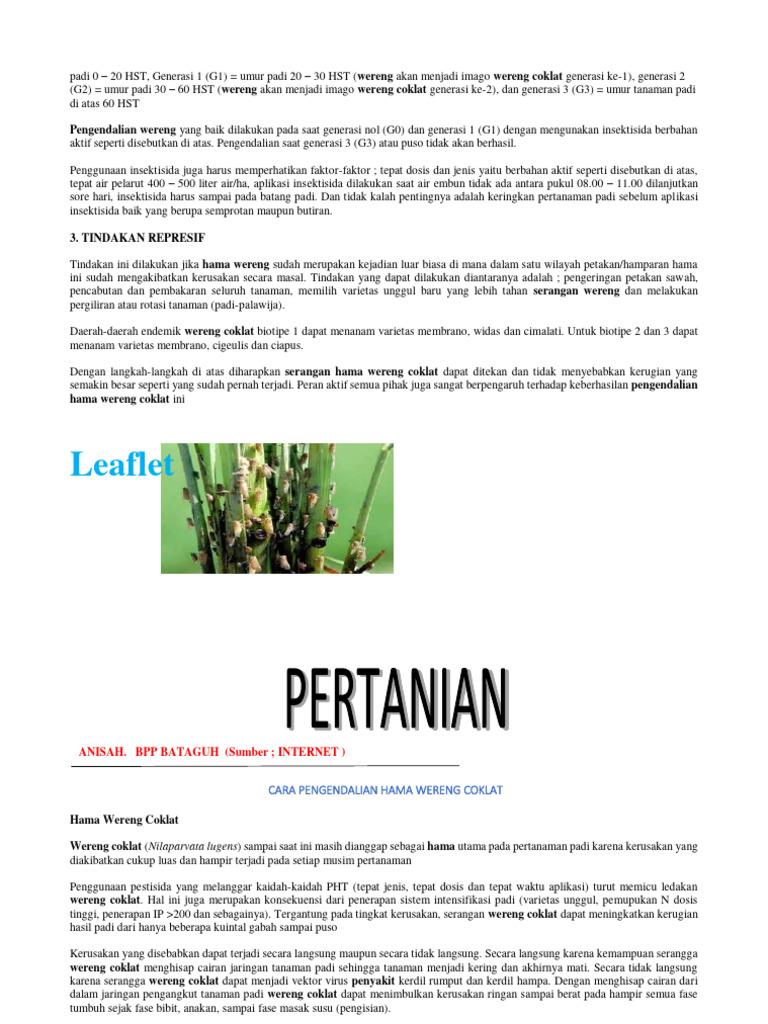 Materi Wereng Coklat | PDF