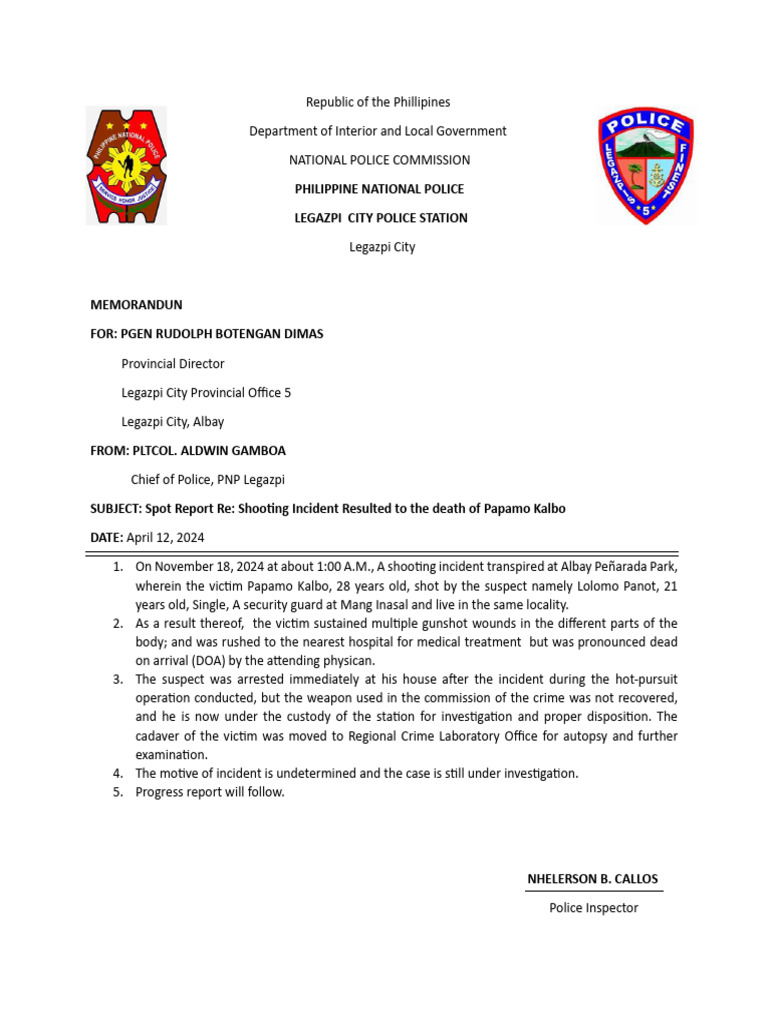 Spot Progress Final Report TE1 | PDF | Law Enforcement | Crime & Violence