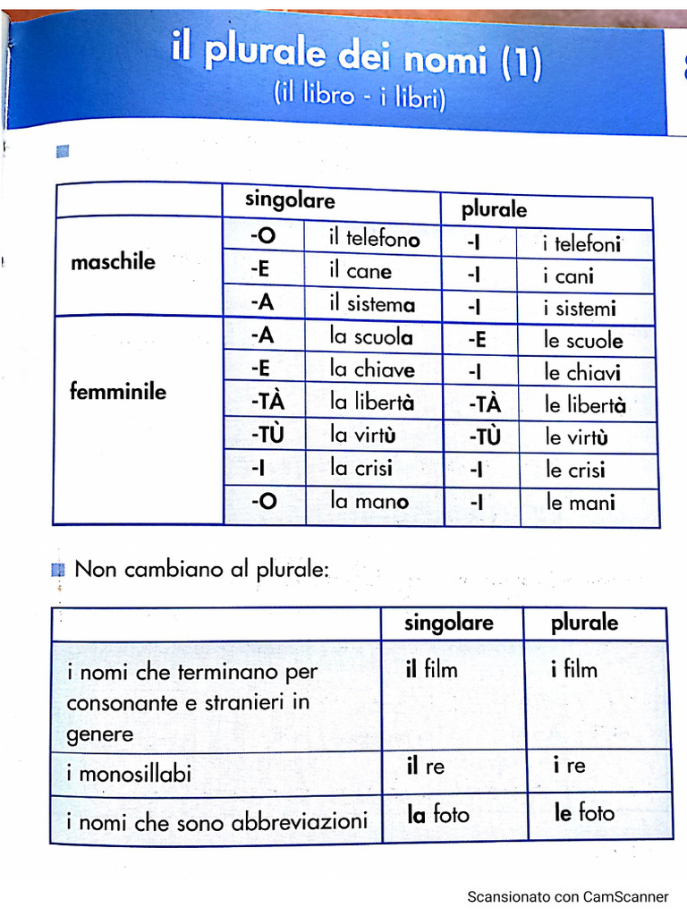 Il Plurale Dei Nomi | PDF