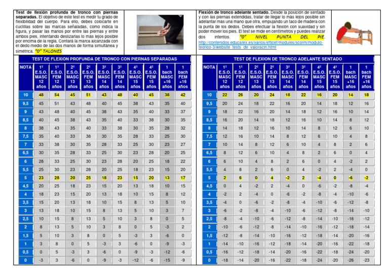 baremos 2 Test de flexión profunda de tronco y flex con piernas ...