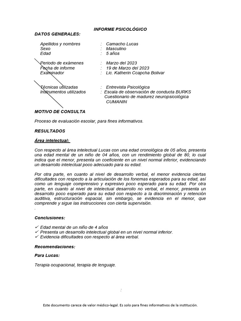 Modelo de informe | PDF