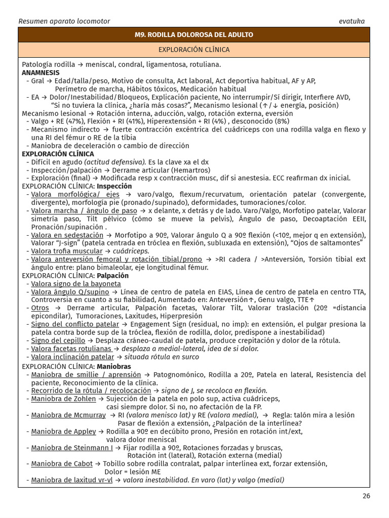 Exploración Clínica de la Rodilla | PDF | Rodilla | Extremidades (anatomía)