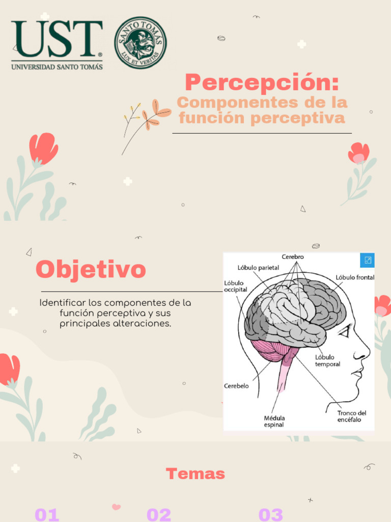PERCEPCION | Descargar gratis PDF | Oído | Percepción