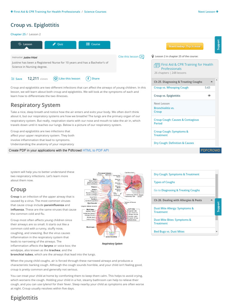 Croup Vs Epiglottitis - HTML | PDF | Respiratory Tract | Cough