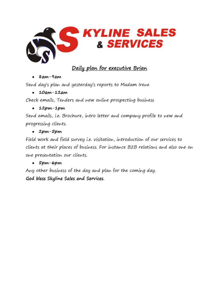Daily Plan For Executive Brian | PDF