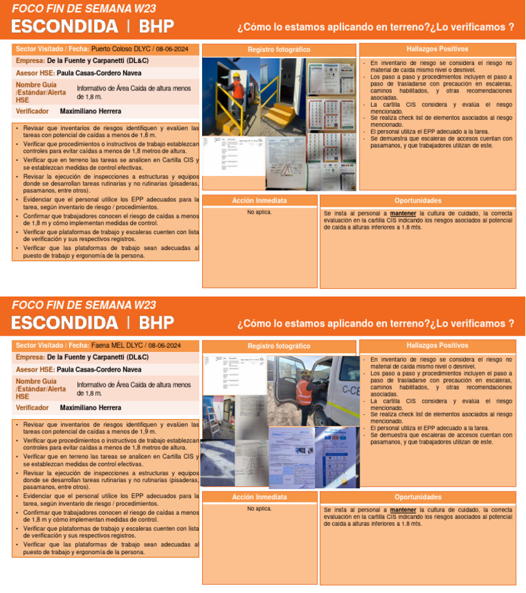 Análisis Alerta HSE - Foco FDS W23 08.06.24 | PDF