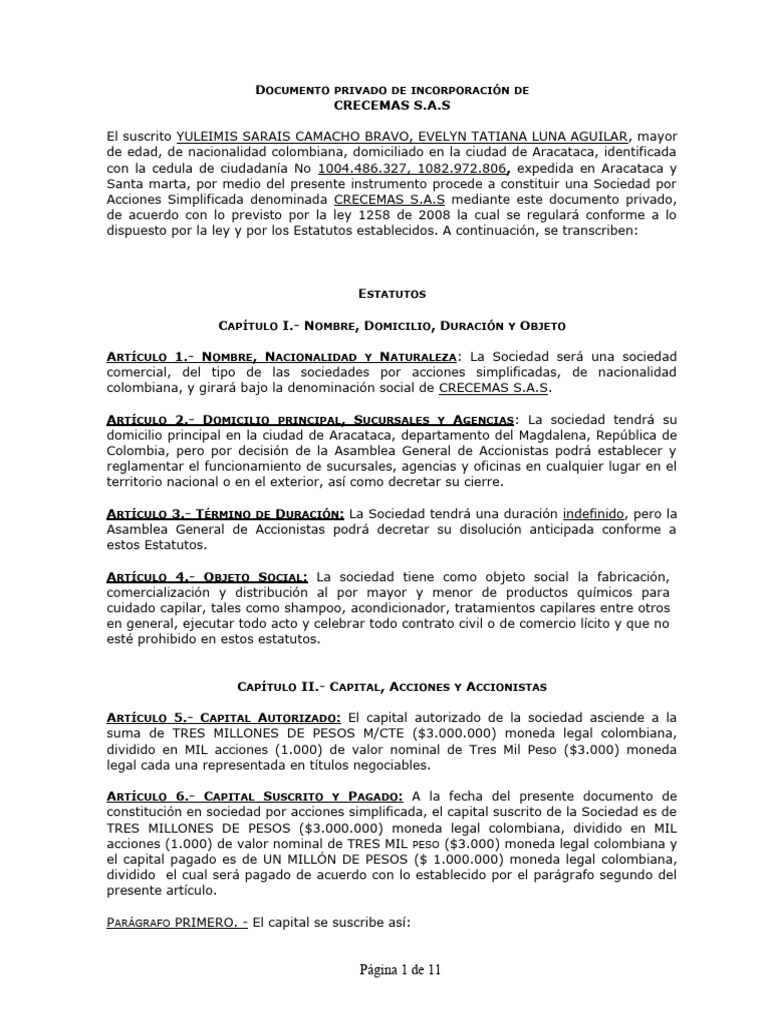 Acta de Constitucion Nuevo Yule | PDF | Dividendo | Compartir (Finanzas)
