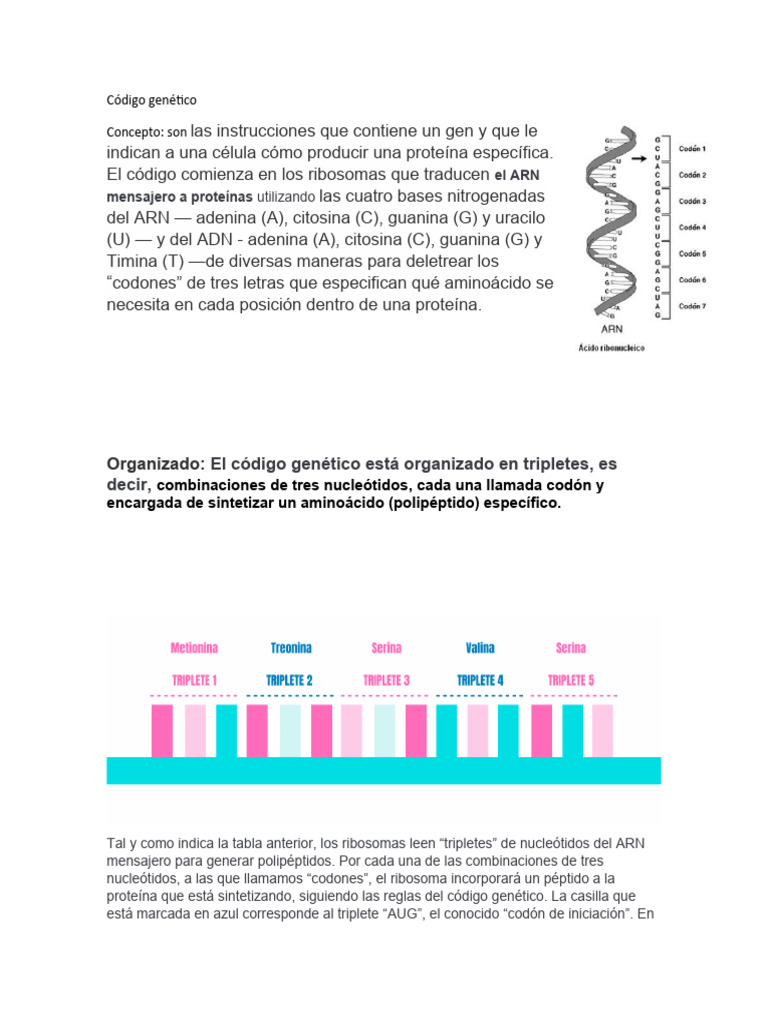 Código genético | Descargar gratis PDF | Codigo genetico | Aminoácidos