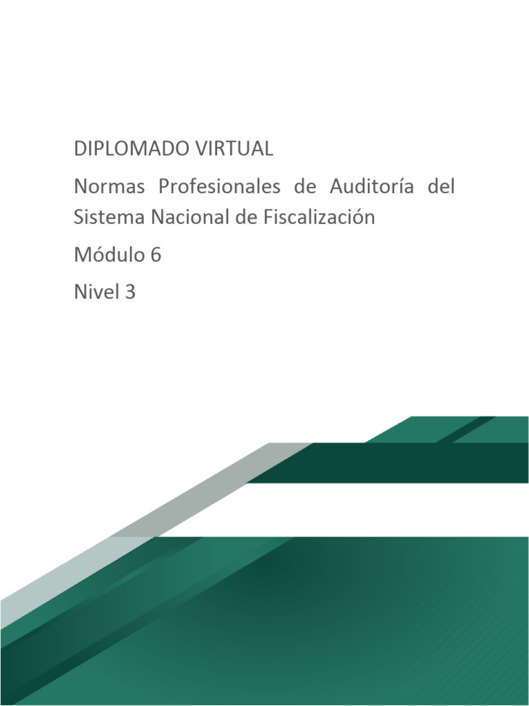 Módulo6 | PDF | Auditoría | Planificación