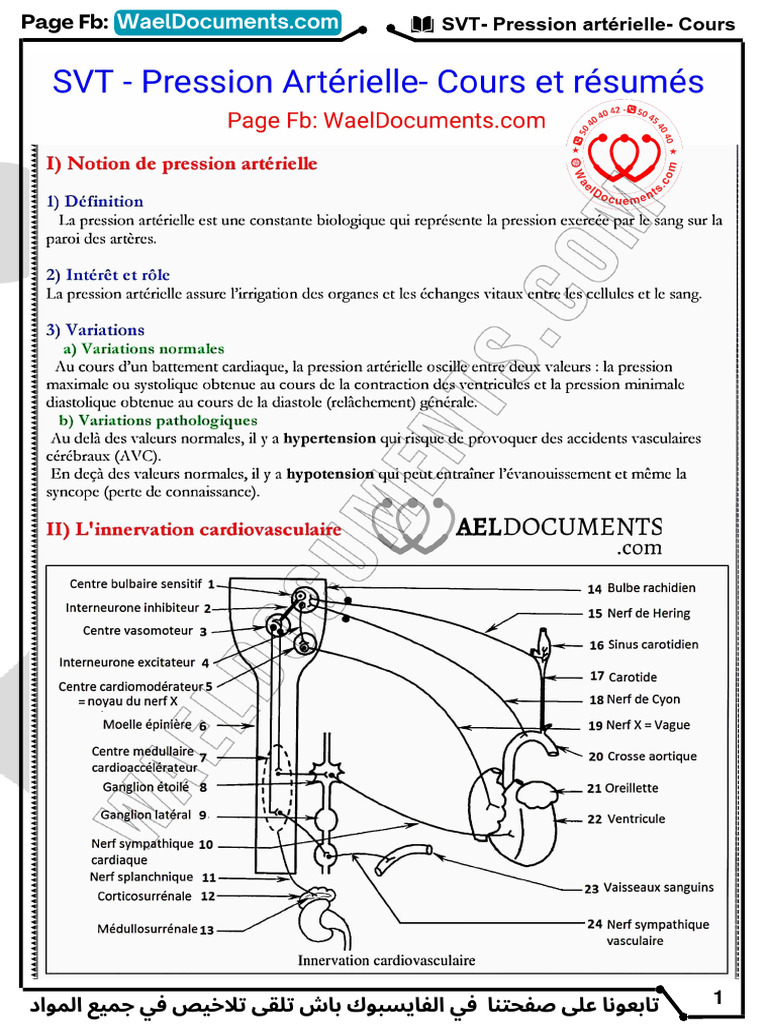 SVT - Pression Artérielle - Cours - WaelDocuments | PDF