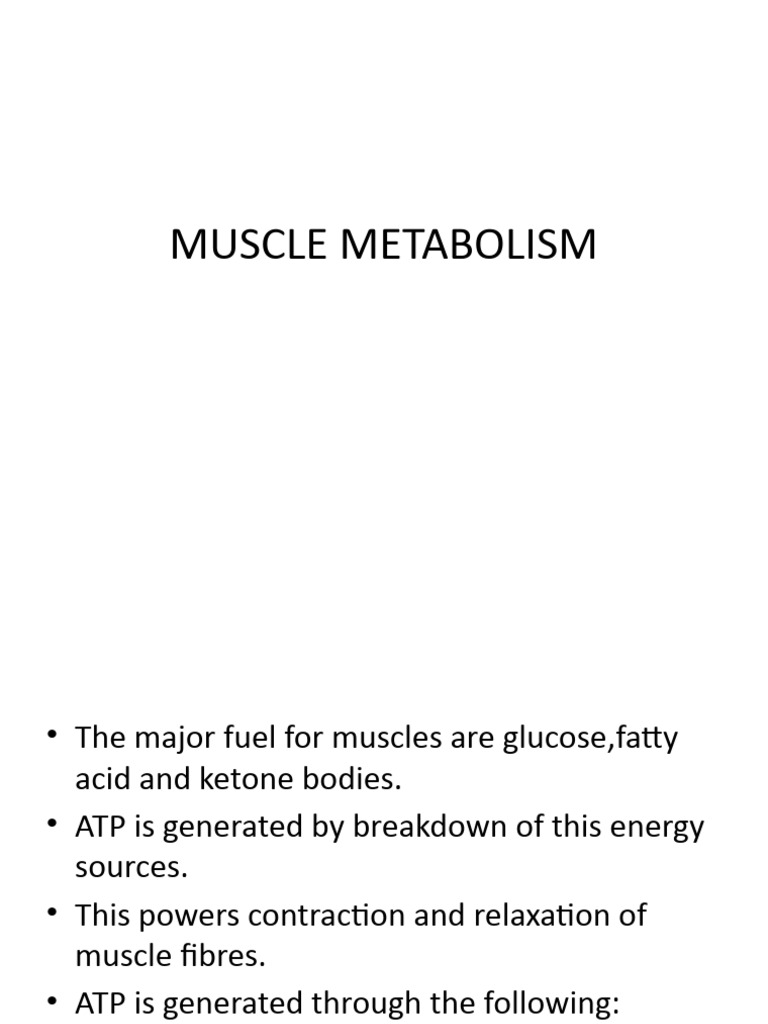 Muscle Metabolism and Energy Production | PDF | Cellular Respiration ...