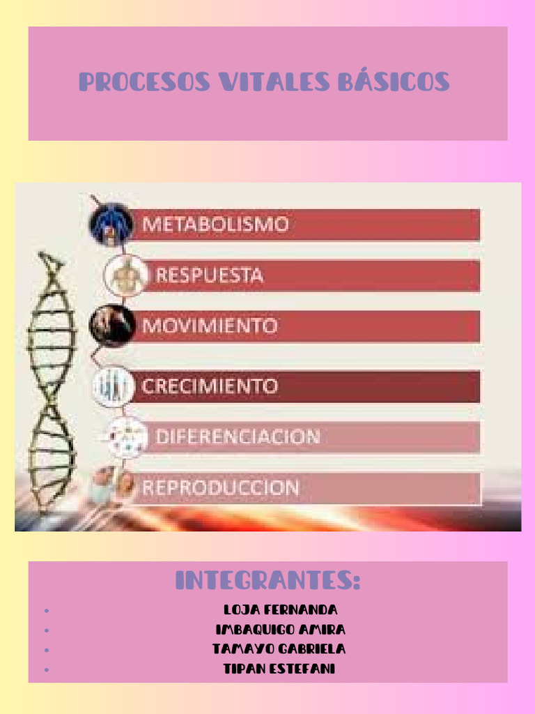 Procesos Vitales Basicos Revista Digital | Descargar gratis PDF | Sexo | Reproducción