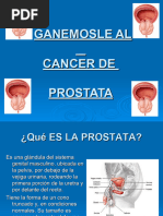 Tríptico de Cáncer de Próstata. | PDF | Cancer de prostata | Cáncer