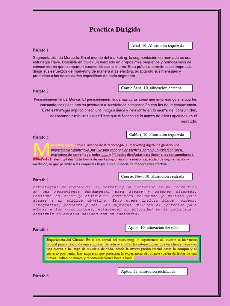 Practica Dirigida 1 - Formato de Texto Prueba | Descargar gratis PDF | Marketing | Marca